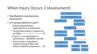 Post-traumatic Neurosensory deficit of Trigeminal Nerve | PPTX