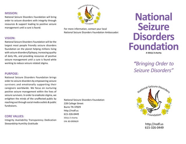 Nsdf intro bro 2014 (1) | PPT