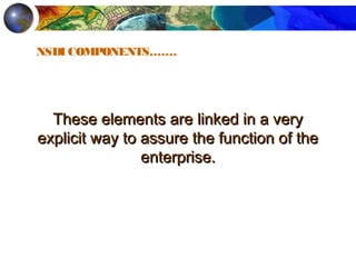 NSDI_ Concepts and Components | PPT | Databases | Computer Software and Applications