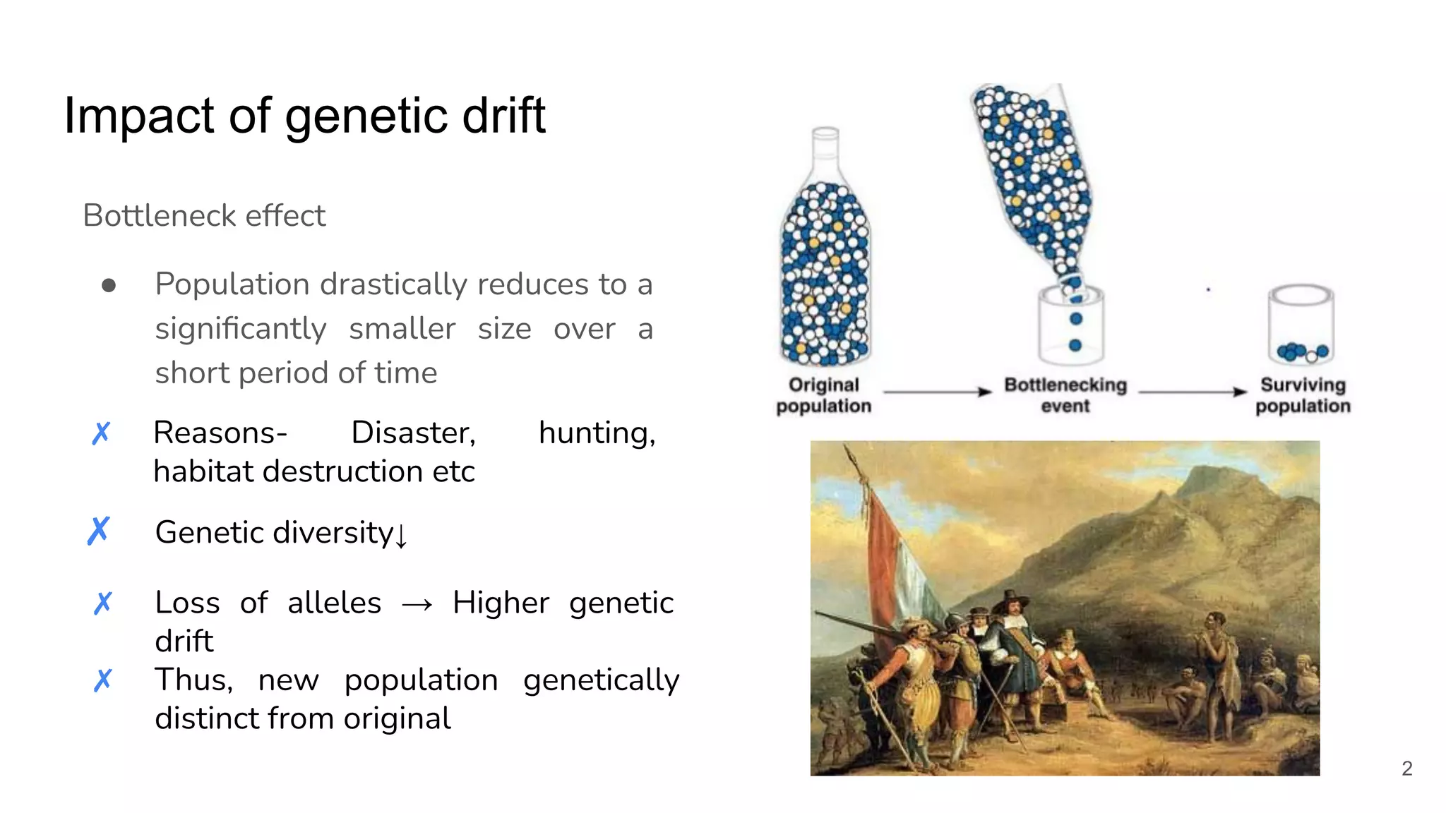 Evolution- Natural selection and Genetic Drift and modes of natural ...