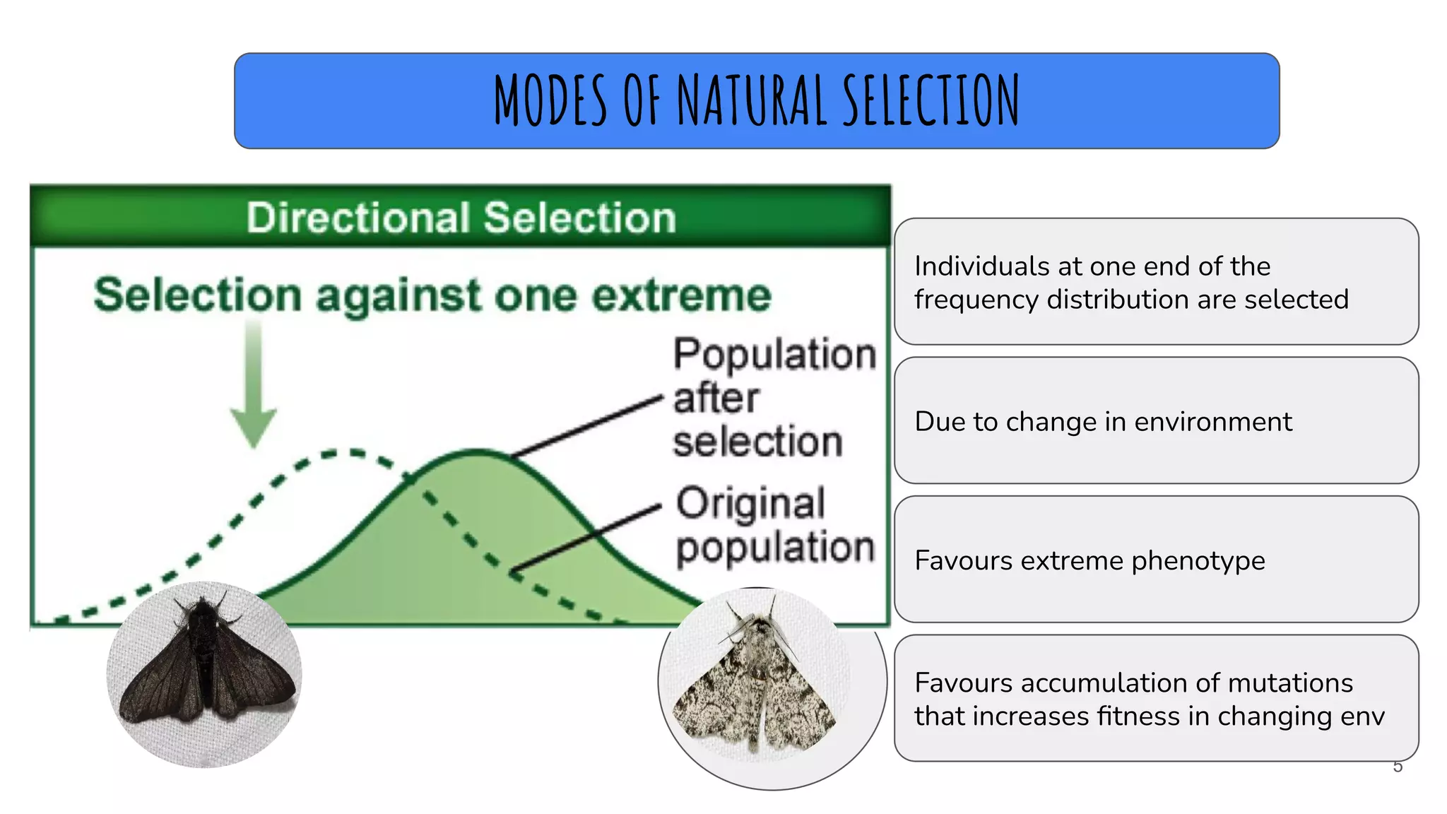 Evolution- Natural selection and Genetic Drift and modes of natural ...