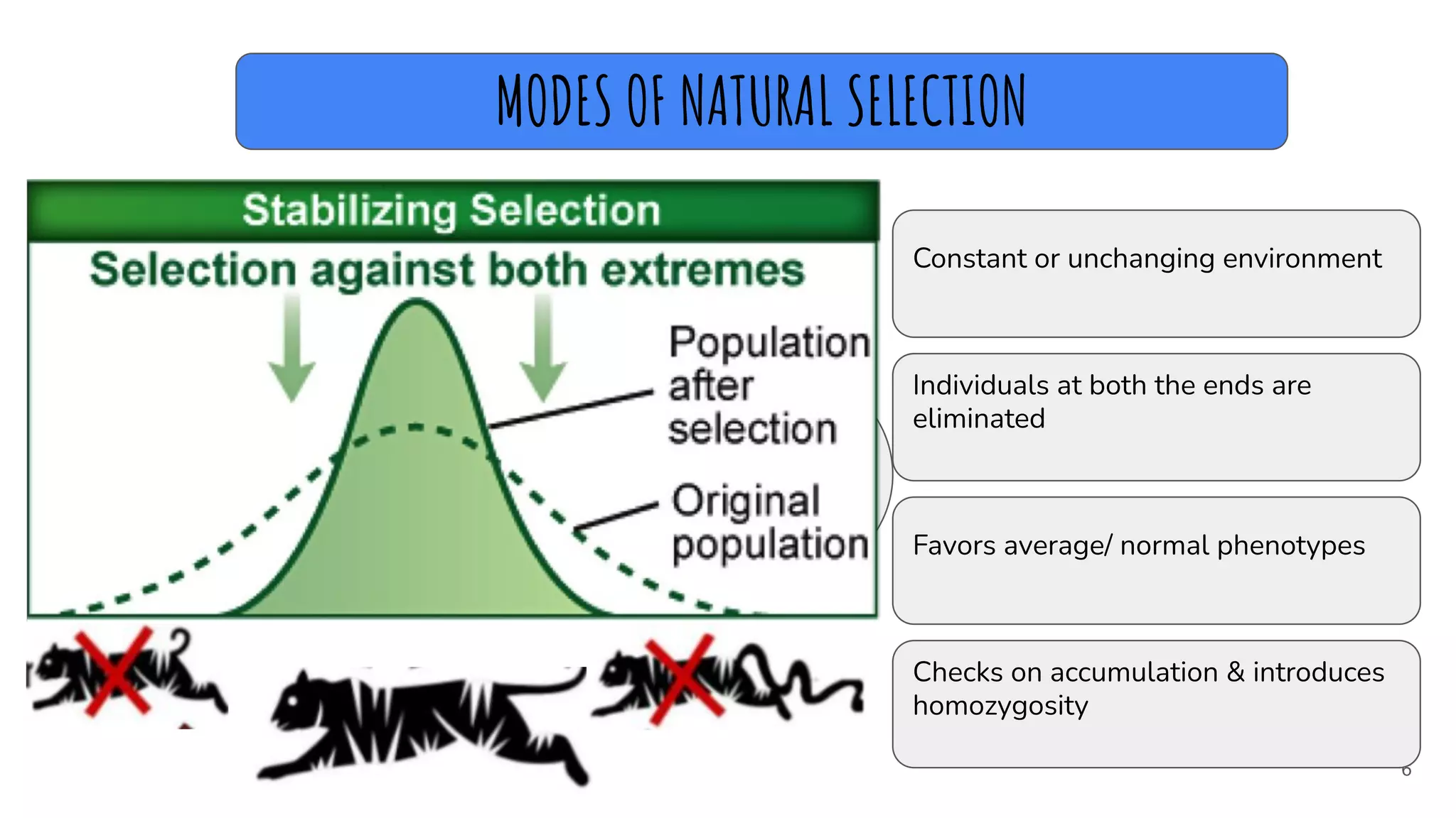 Evolution- Natural selection and Genetic Drift and modes of natural ...