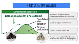 Evolution- Natural selection and Genetic Drift and modes of natural ...