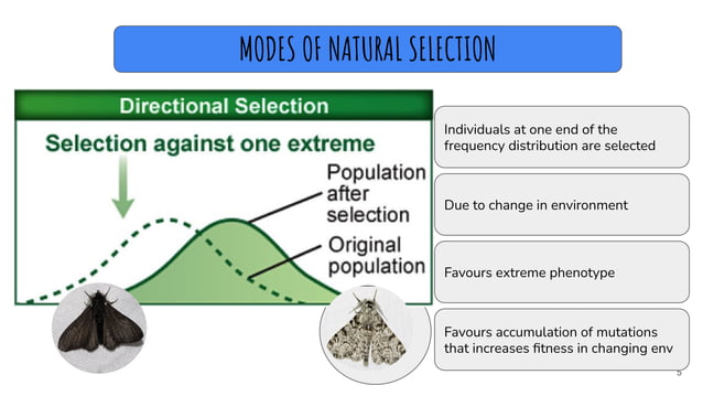 Evolution- Natural selection and Genetic Drift and modes of natural ...