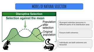 Evolution- Natural selection and Genetic Drift and modes of natural ...
