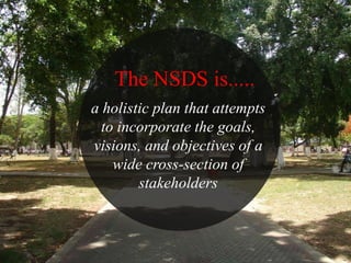 NSDS Consultation Presentation 1 | PPSX
