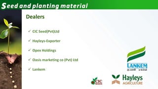 seeds and planting materials marketing | PPTX