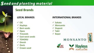 seeds and planting materials marketing | PPTX