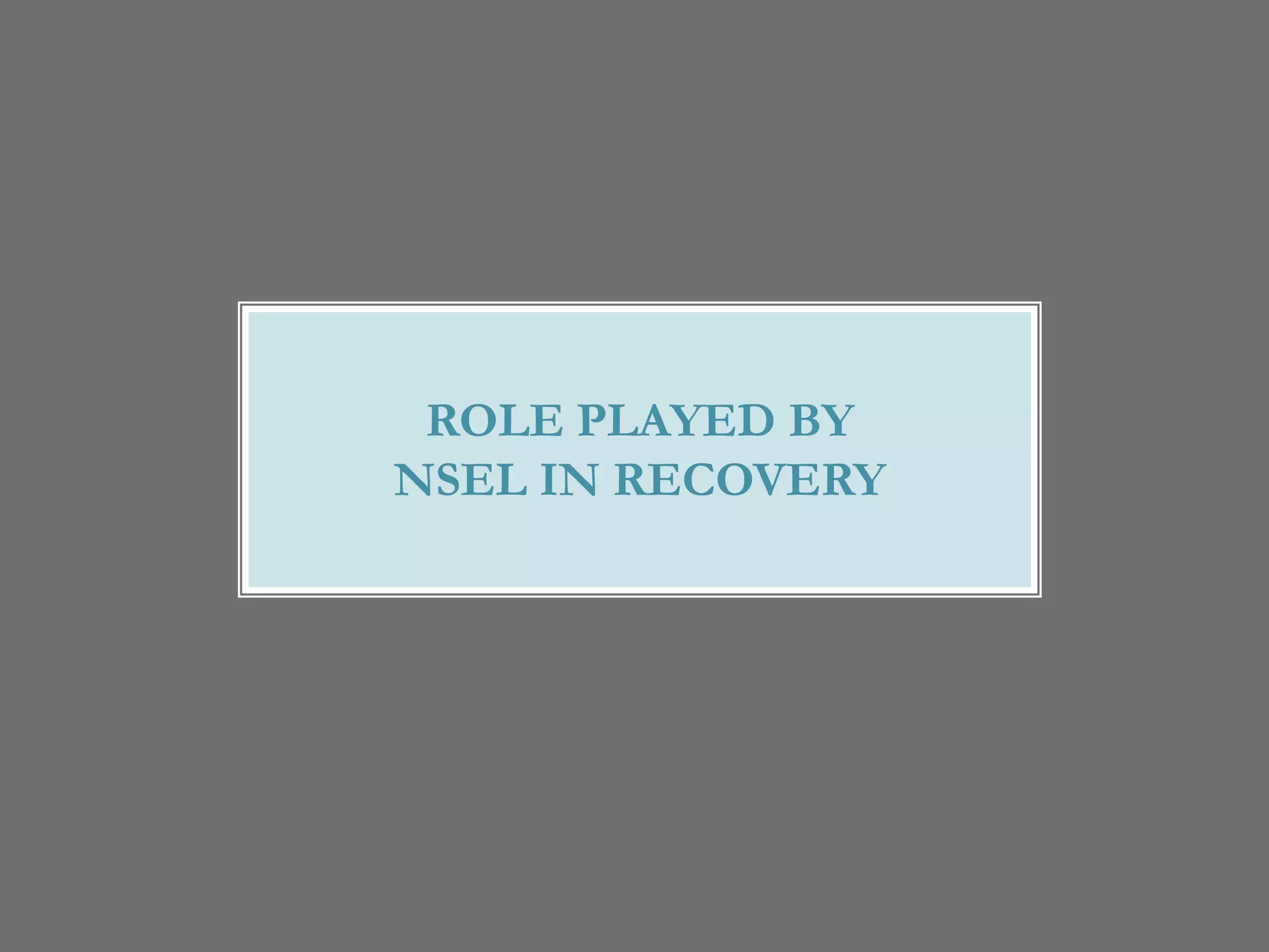 Nsel’s role in recovery | PPTX | Government Support and Welfare | Financial Assistance