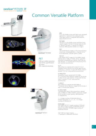 Nsfb 0816 web_opt | PDF