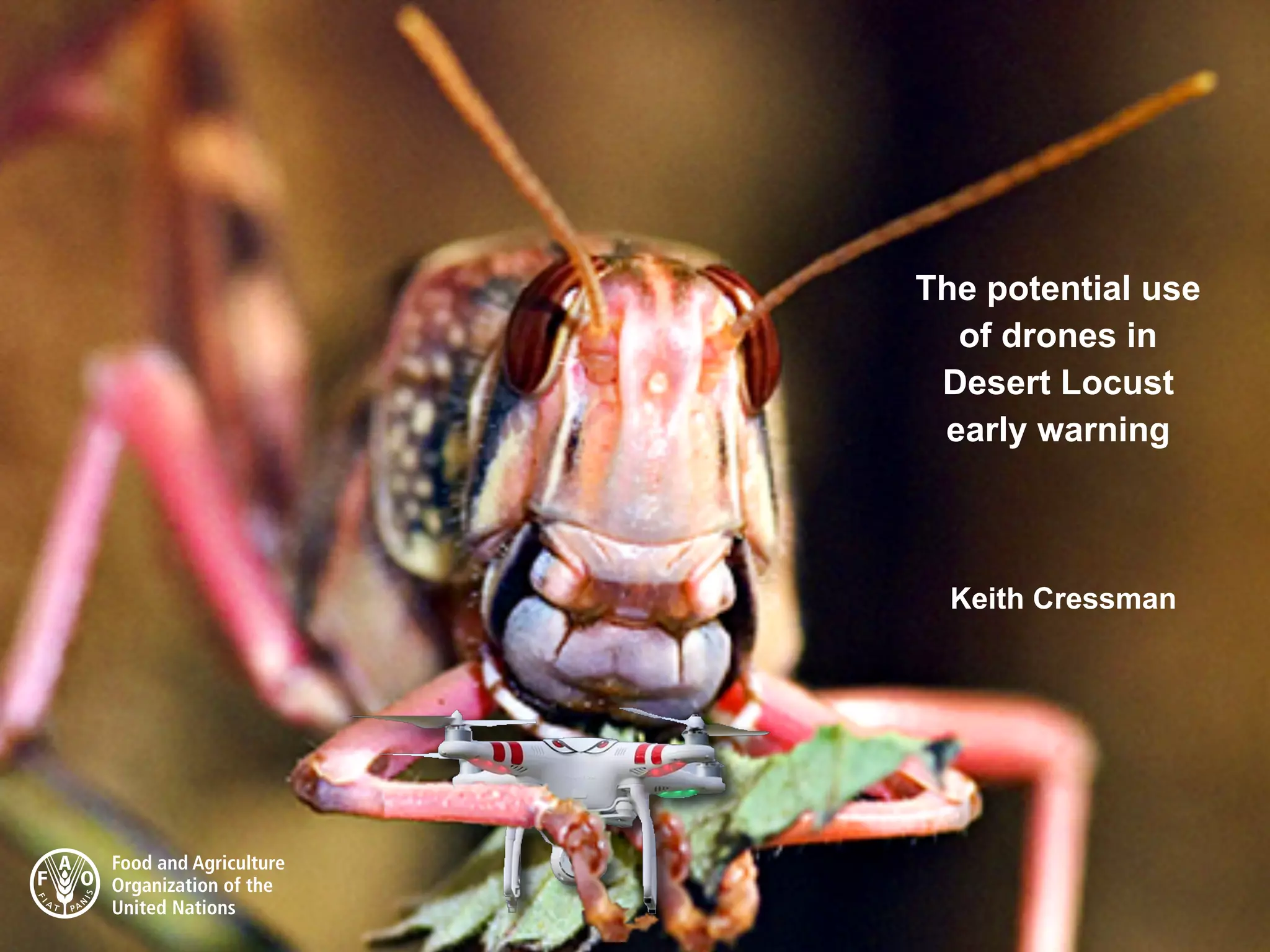 The potential use of drones for Desert Locust early warning | PDF