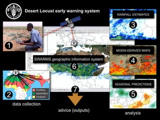 The potential use of drones for Desert Locust early warning | PDF