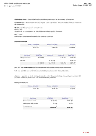 Bilancio abbreviato Nsfi srl | PDF