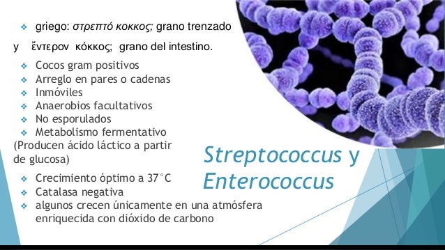 Streptococcus y Enterococcus