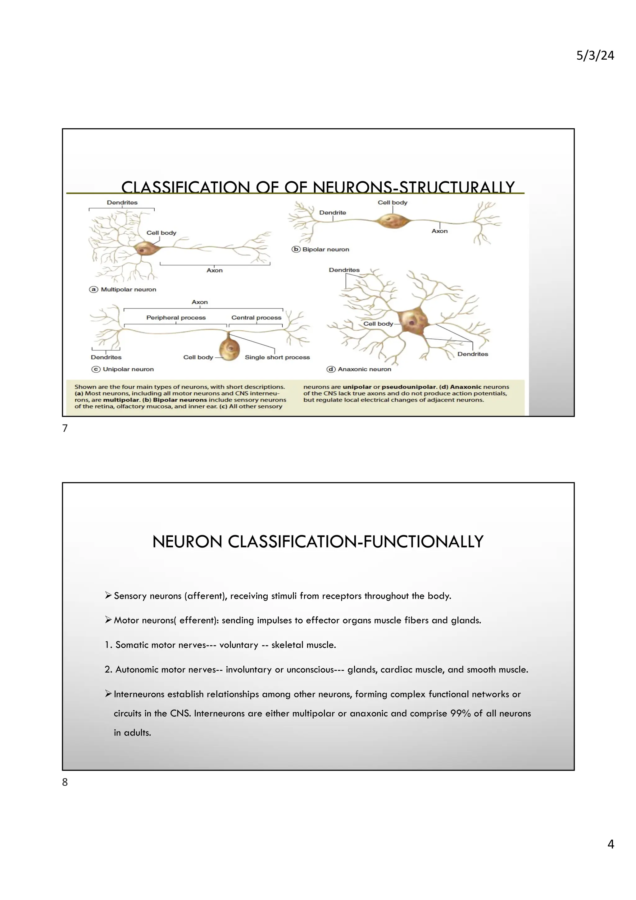 NSh 2024.pdf histology slides uj university | PDF