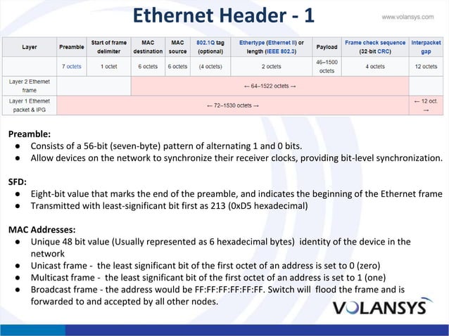 Network Topologies, L1-L2 Basics, Networking Devices | PPTX | Computer Networking | Computing