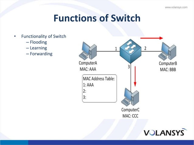 Network Topologies, L1-L2 Basics, Networking Devices | PPTX | Computer Networking | Computing