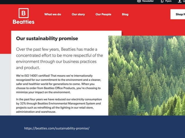 Promoting Sustainability & Avoiding Greenwashing | PPT