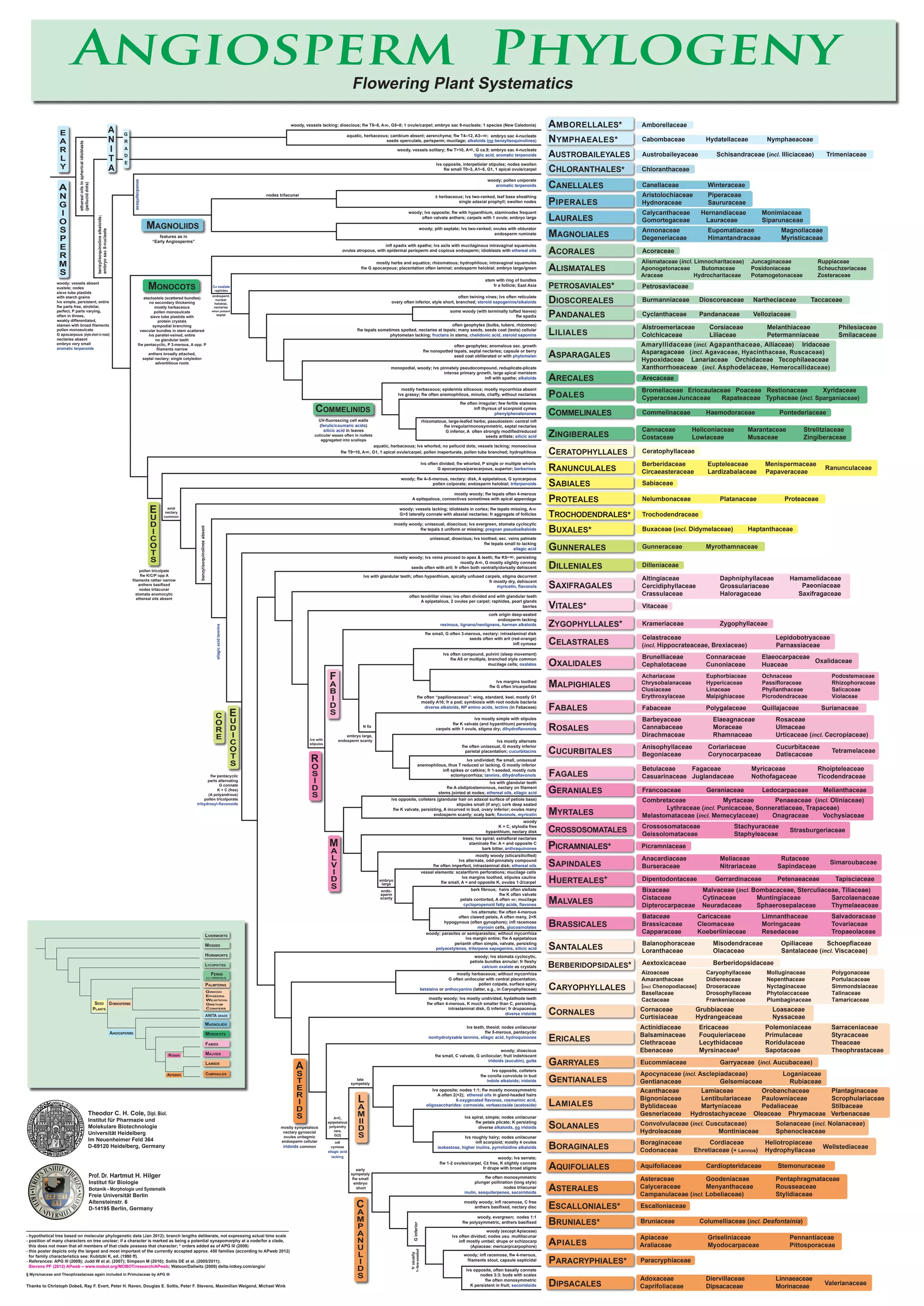 Sistema Taxonomico de Platae | PDF