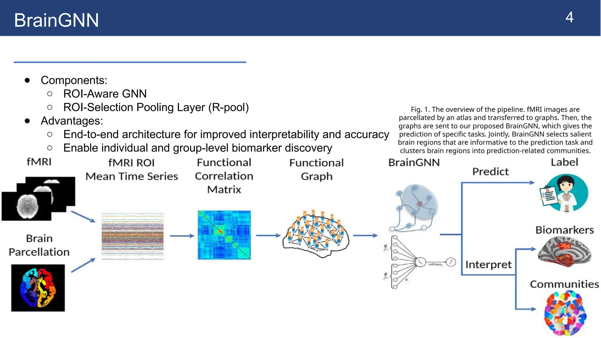 [NS][Lab_Seminar_241028]BrainGNN: Interpretable Brain Graph Neural Network for fMRI Analysis.pptx
