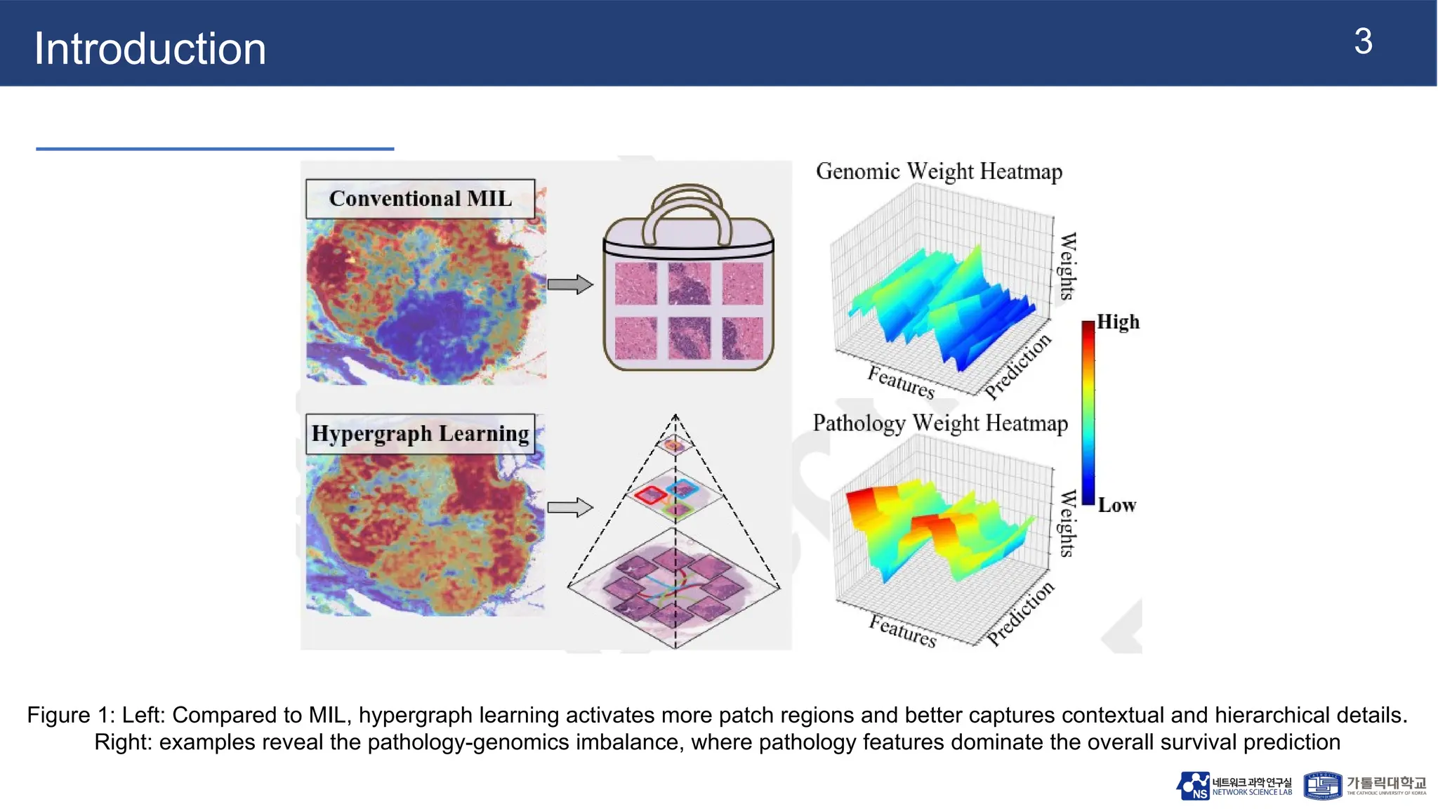 [NS][Lab_Seminar_251013]Multimodal Cancer Survival Analysis via Hypergraph Learning with Cross ...