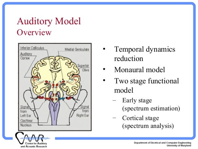 auditory model
