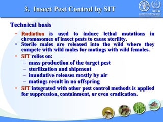 Nuclear Techniques in Food and Agriculture | PPT