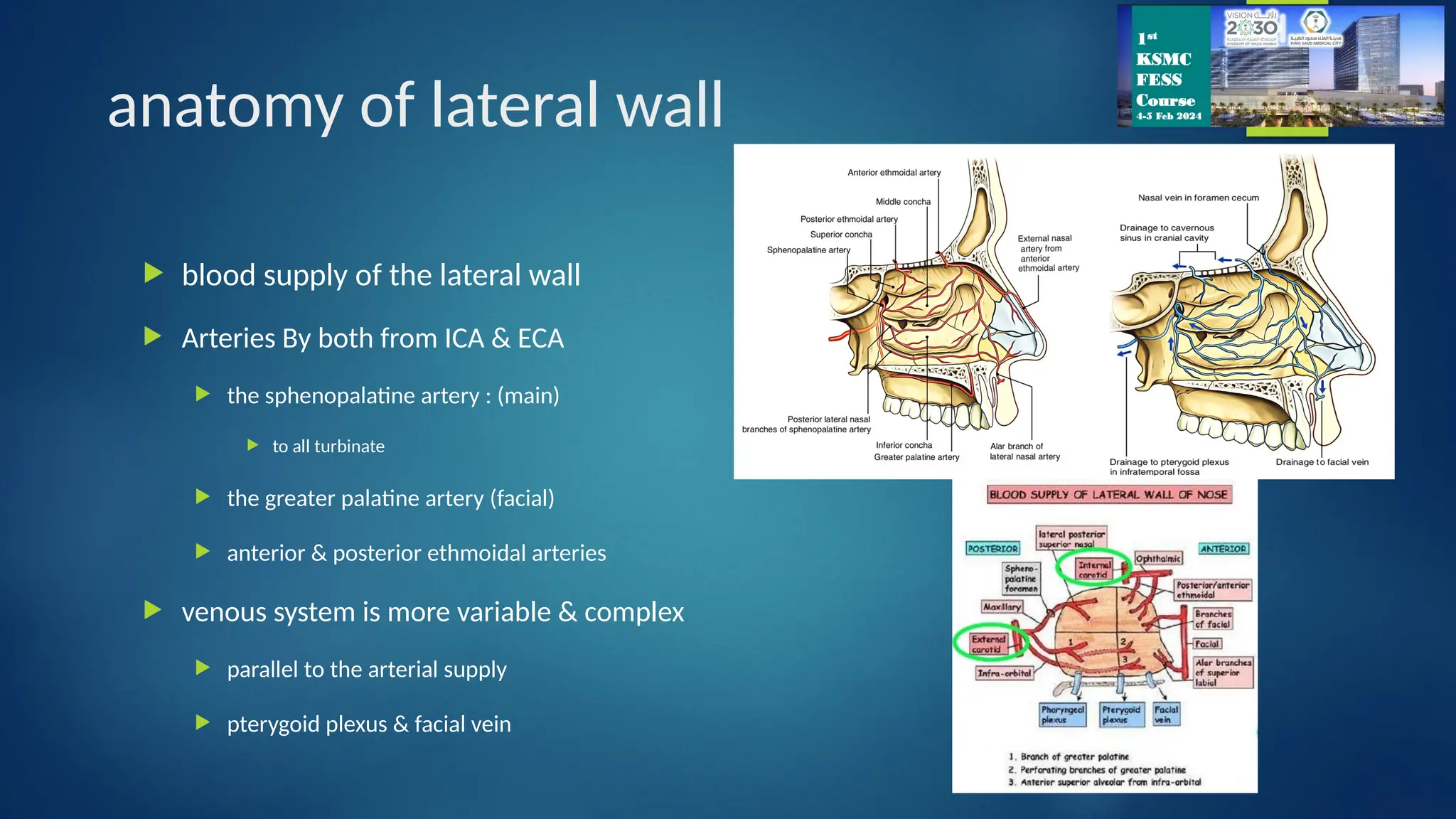 nasal septum ,lateral nasal wall anatomy | PPTX