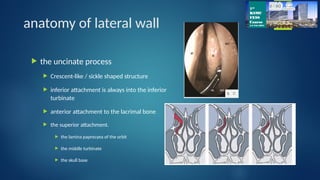 nasal septum ,lateral nasal wall anatomy | PPTX