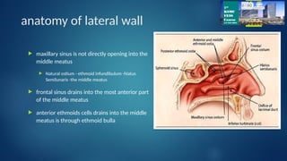 nasal septum ,lateral nasal wall anatomy | PPTX