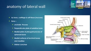 nasal septum ,lateral nasal wall anatomy | PPTX