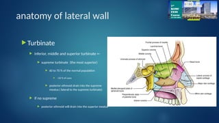 nasal septum ,lateral nasal wall anatomy | PPTX
