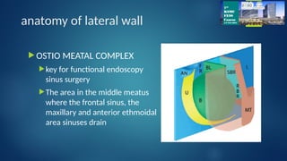 nasal septum ,lateral nasal wall anatomy | PPTX