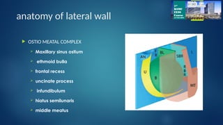 nasal septum ,lateral nasal wall anatomy | PPTX