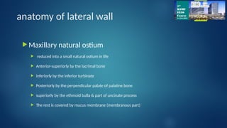 nasal septum ,lateral nasal wall anatomy | PPTX