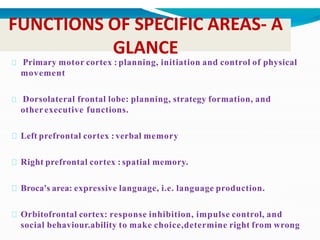 N S M FRONTAL LOBE AND NEUROPSYCHIATRY.pptx