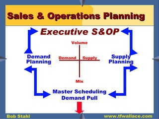 Executive S&OP | PPT