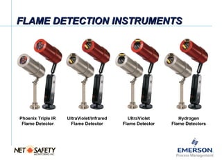 Net Safety Monitoring Flame & Gas Detection | PPT