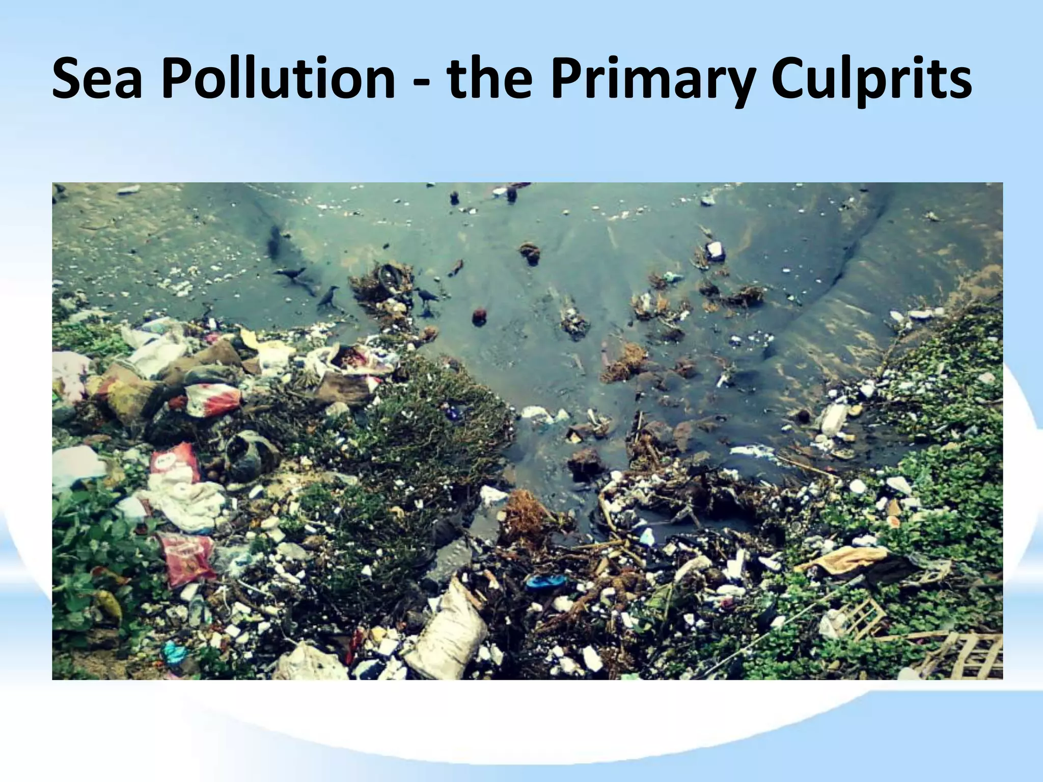 human impact on environment | PPTX