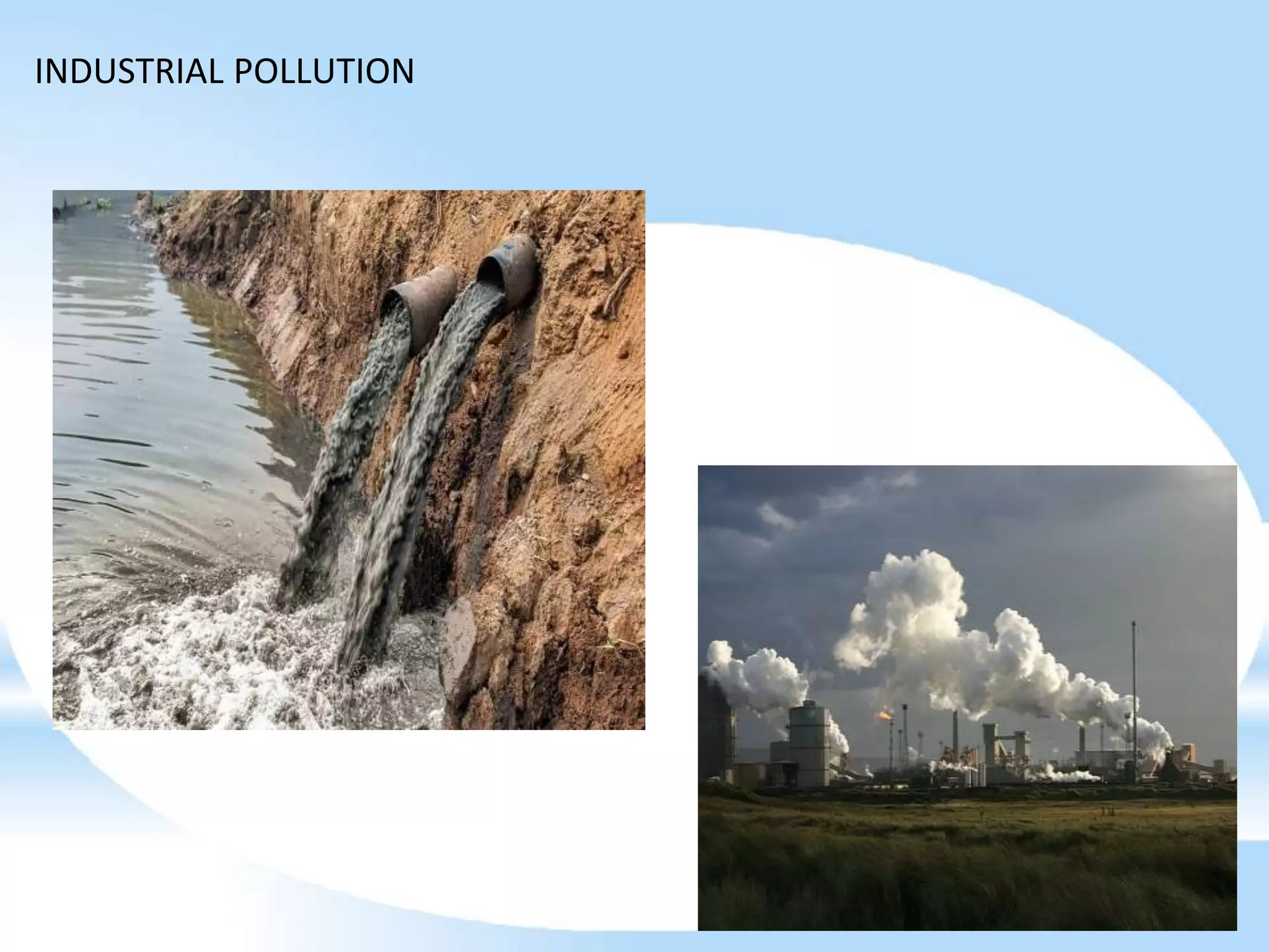 human impact on environment | PPTX