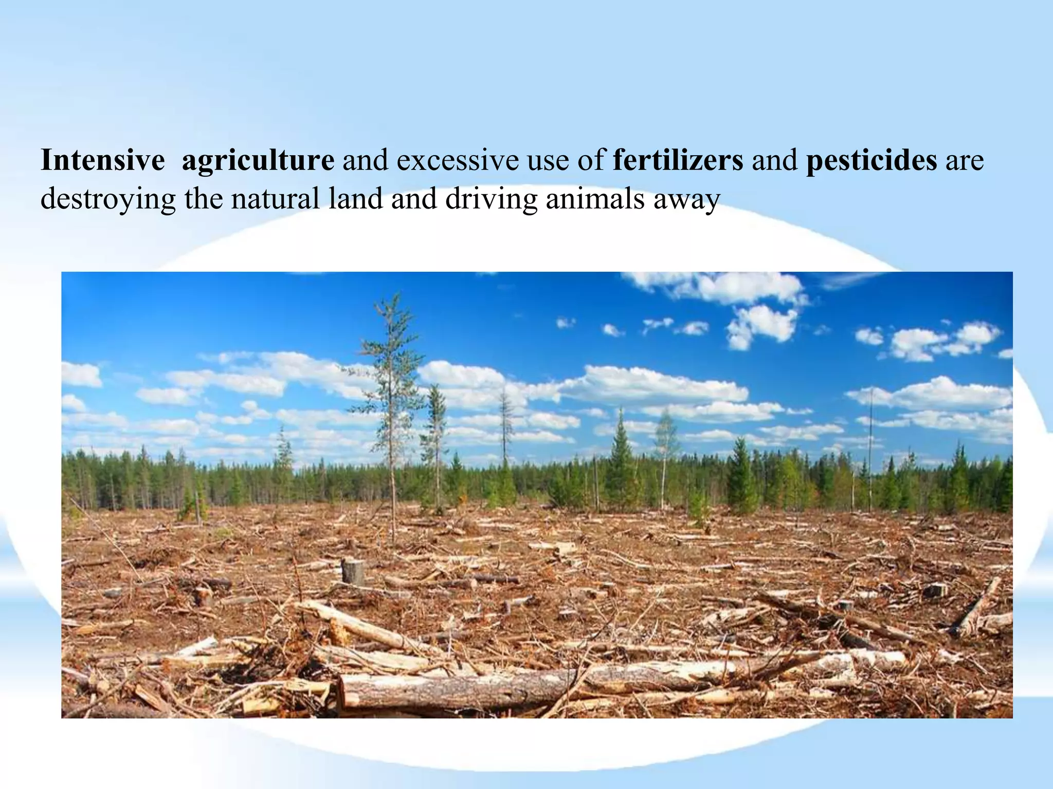 human impact on environment | PPTX