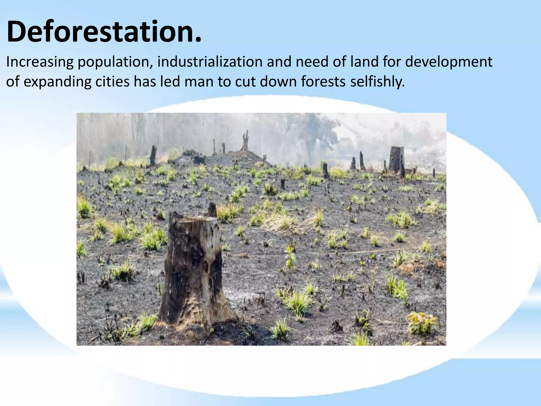 human impact on environment | PPTX