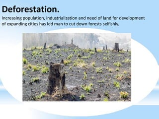 human impact on environment | PPTX