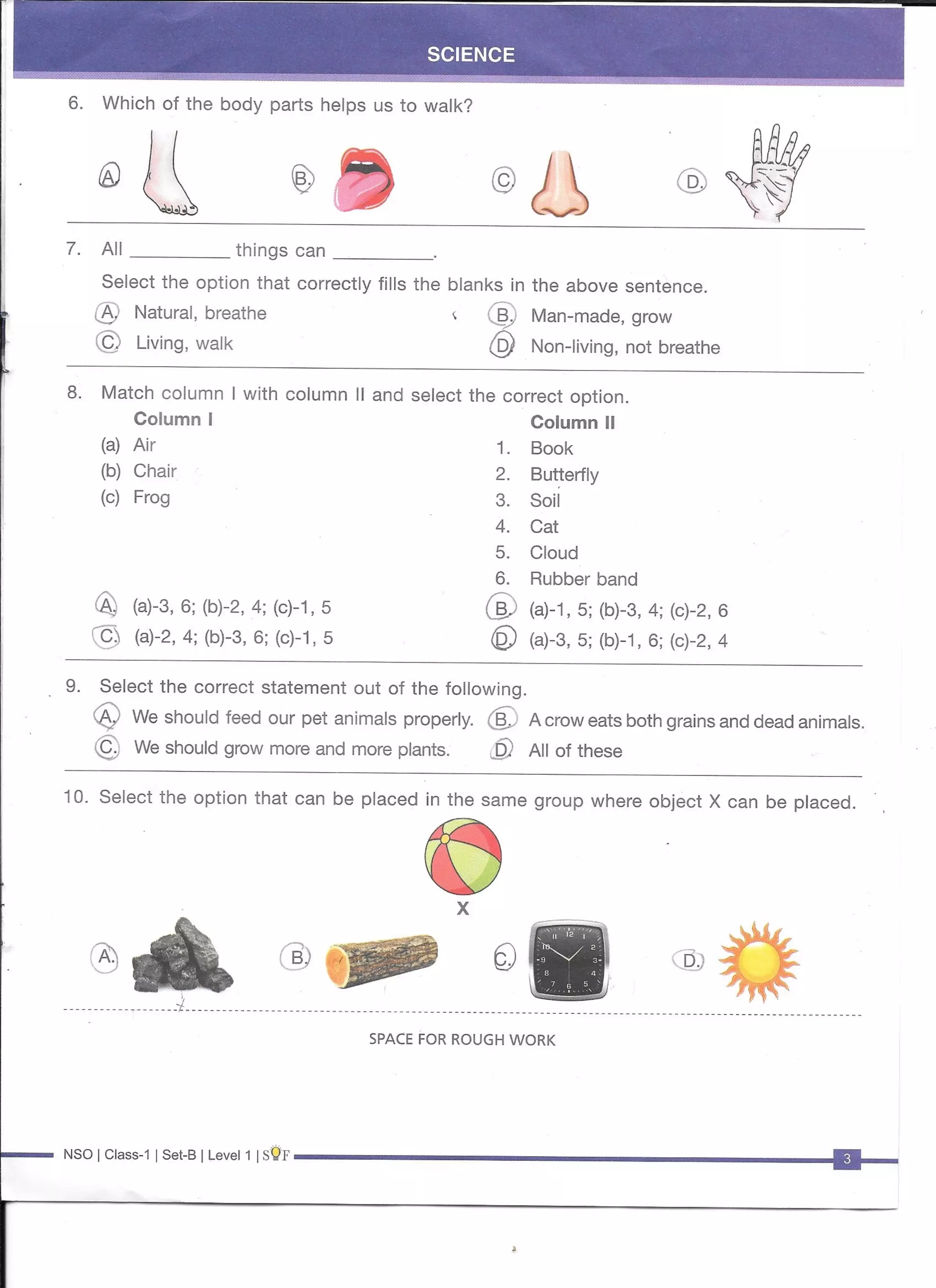 NSO Class 1 Question Paper Set B 2017 | PDF