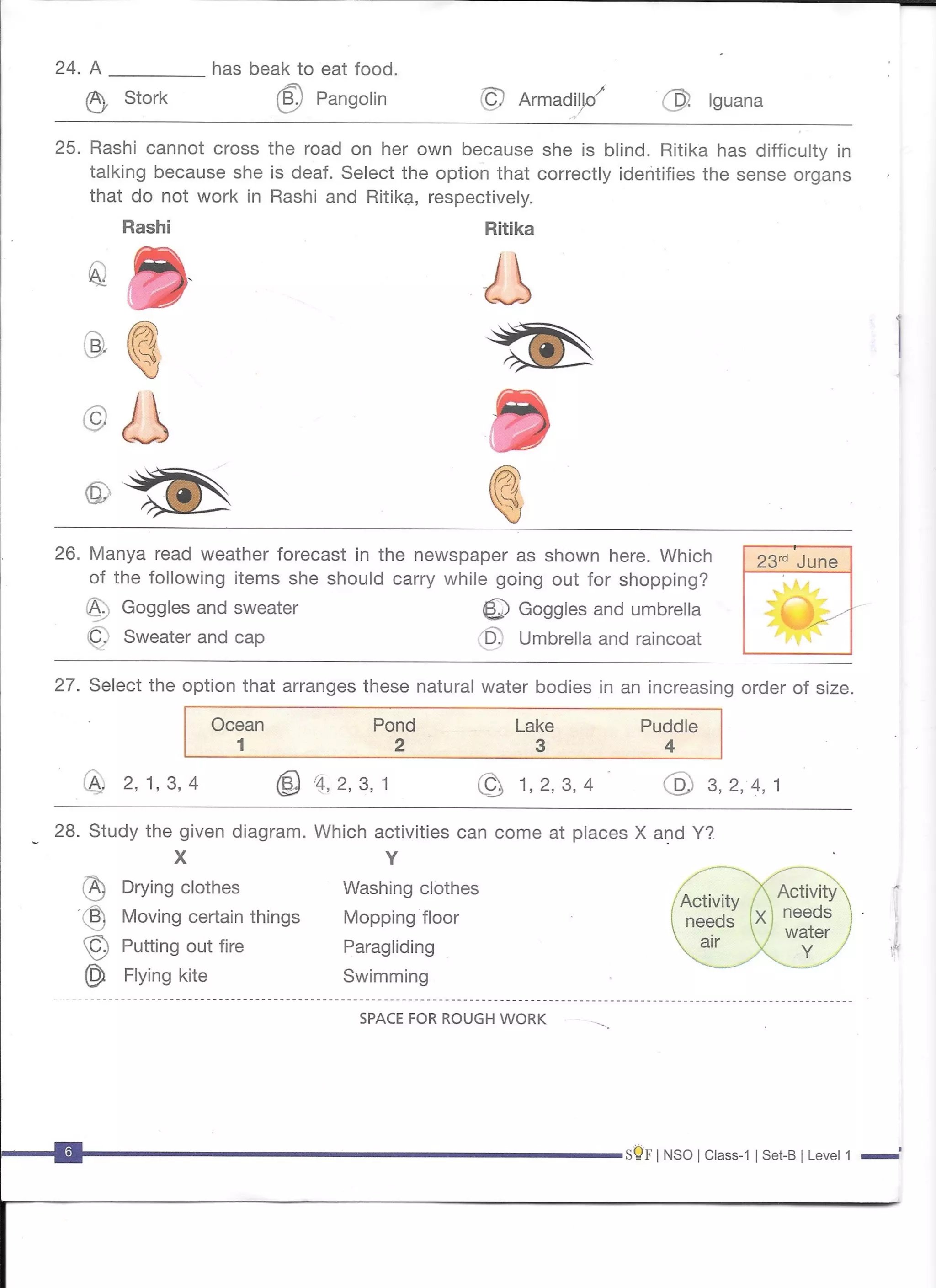 NSO Class 1 Question Paper Set B 2017 | PDF