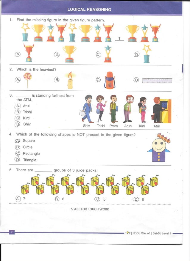 NSO Class 1 Question Paper Set B 2017 | PDF