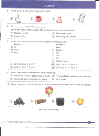 NSO Class 1 Question Paper Set B 2017 | PDF