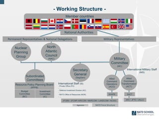 NATO Training Architecture | PPTX