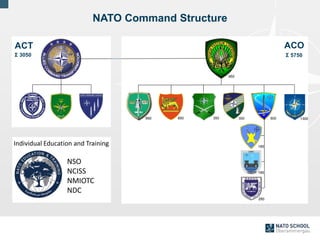NATO Training Architecture | PPTX