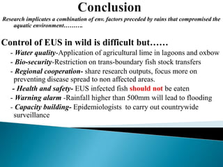 Epidemiology of Epizootic Ulcerative Syndrome (EUS) in the Zambezi ...